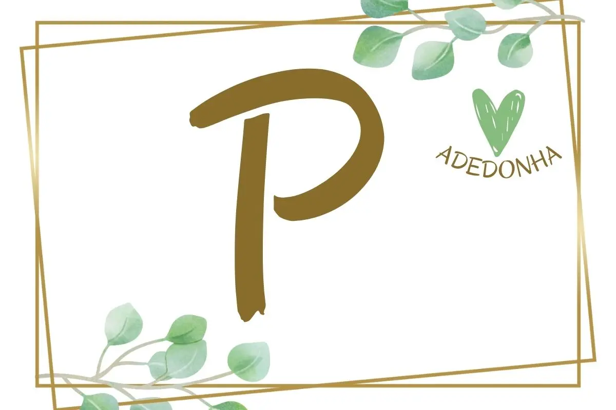 Objetos com P: Que começam com a letra P - Villa Lobos