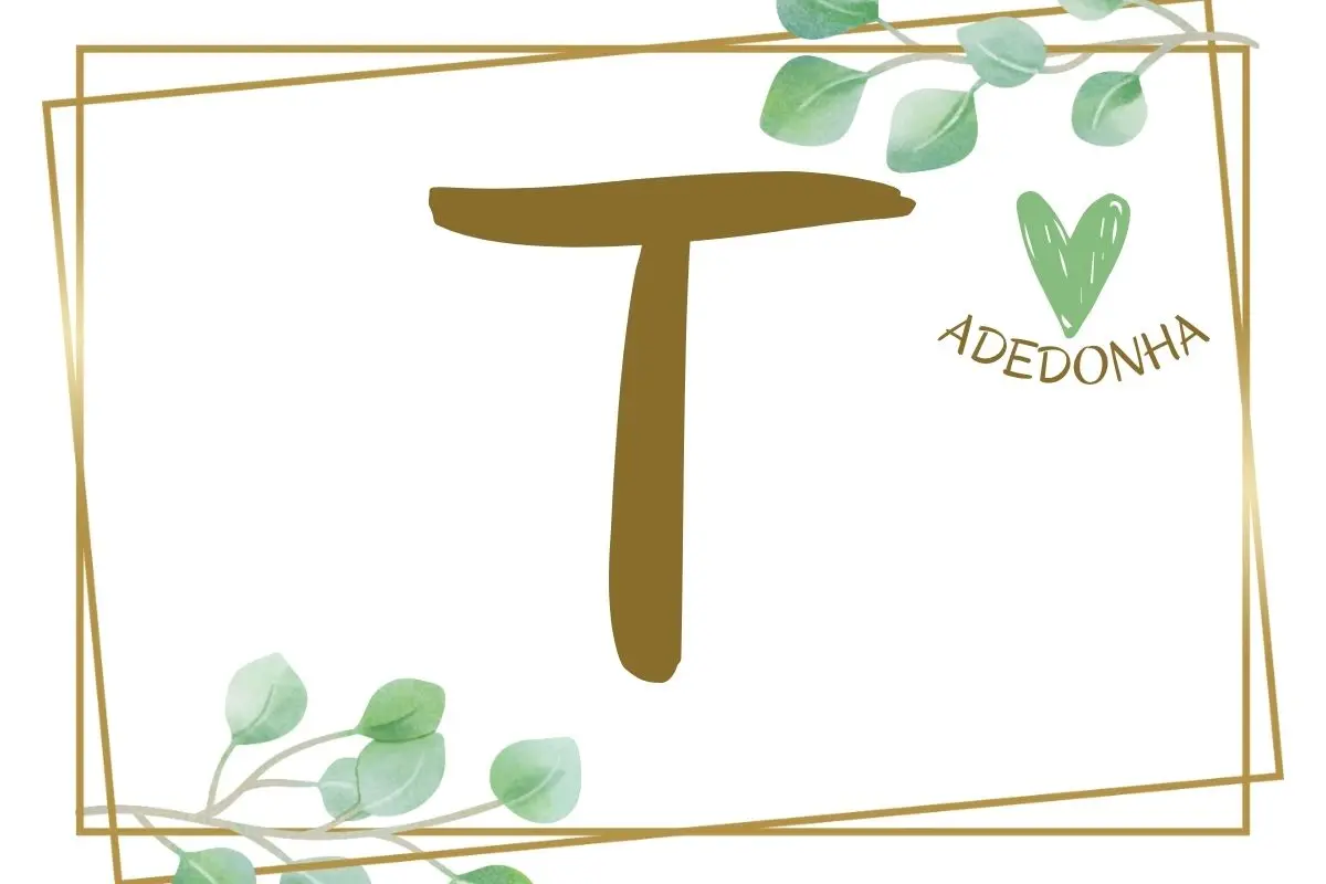 Objetos com T: Que começam com a letra T - Villa Lobos