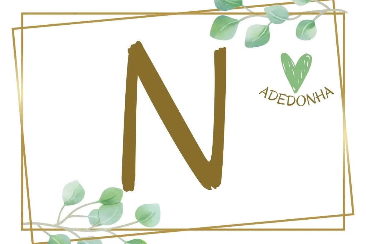 Objetos com N: Que começam com a letra N - Villa Lobos